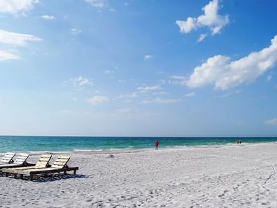 Indian Shores FL Hotel on the Gulf Coast | The Fold